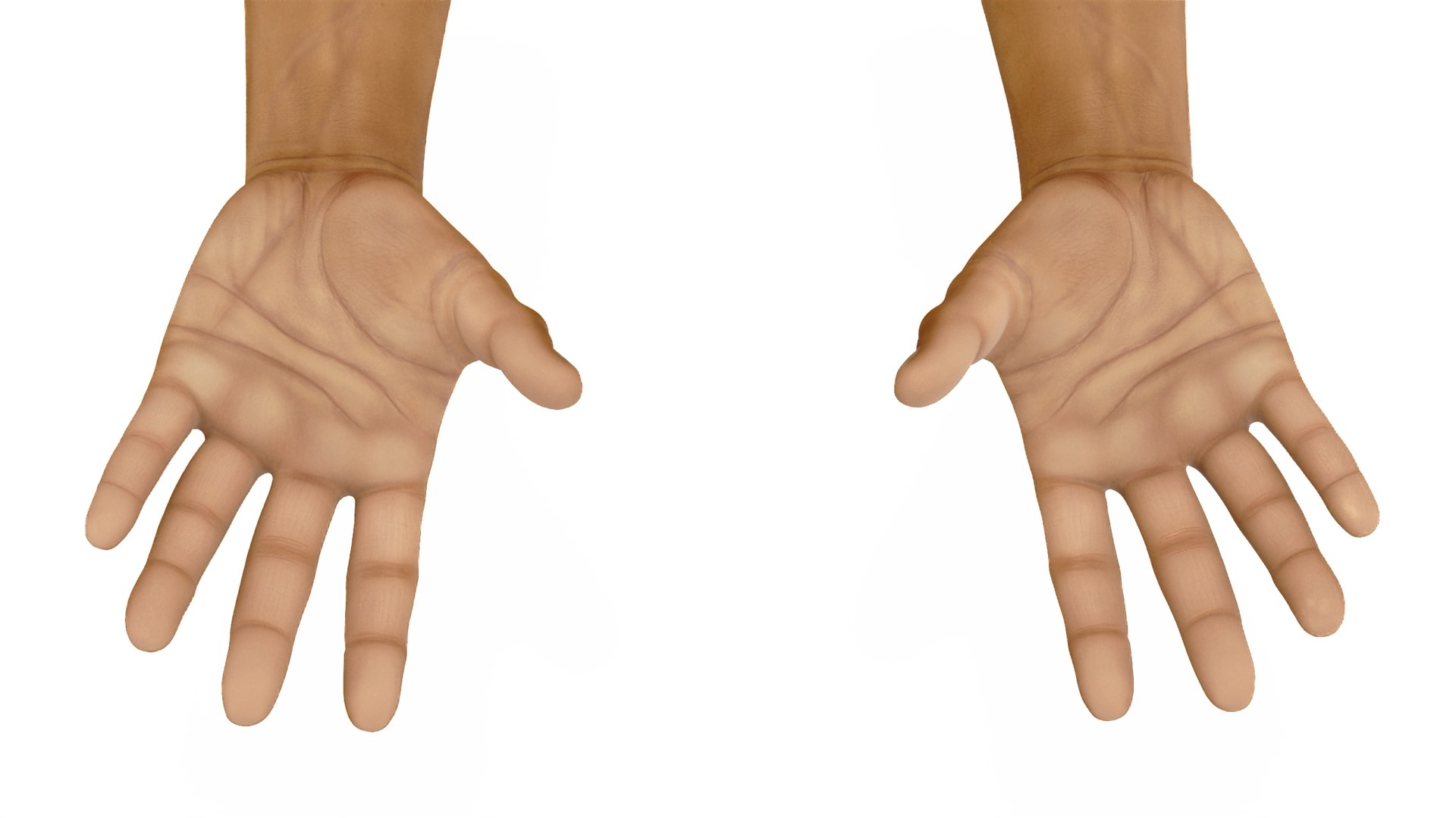 3D European Man Hands Rigged - TurboSquid 2174357