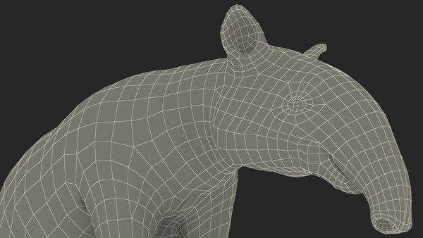 Tapir Sitting Pose 3D model - TurboSquid 1919758