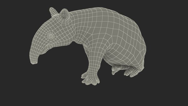 Tapir Sitting Pose 3D model - TurboSquid 1919758