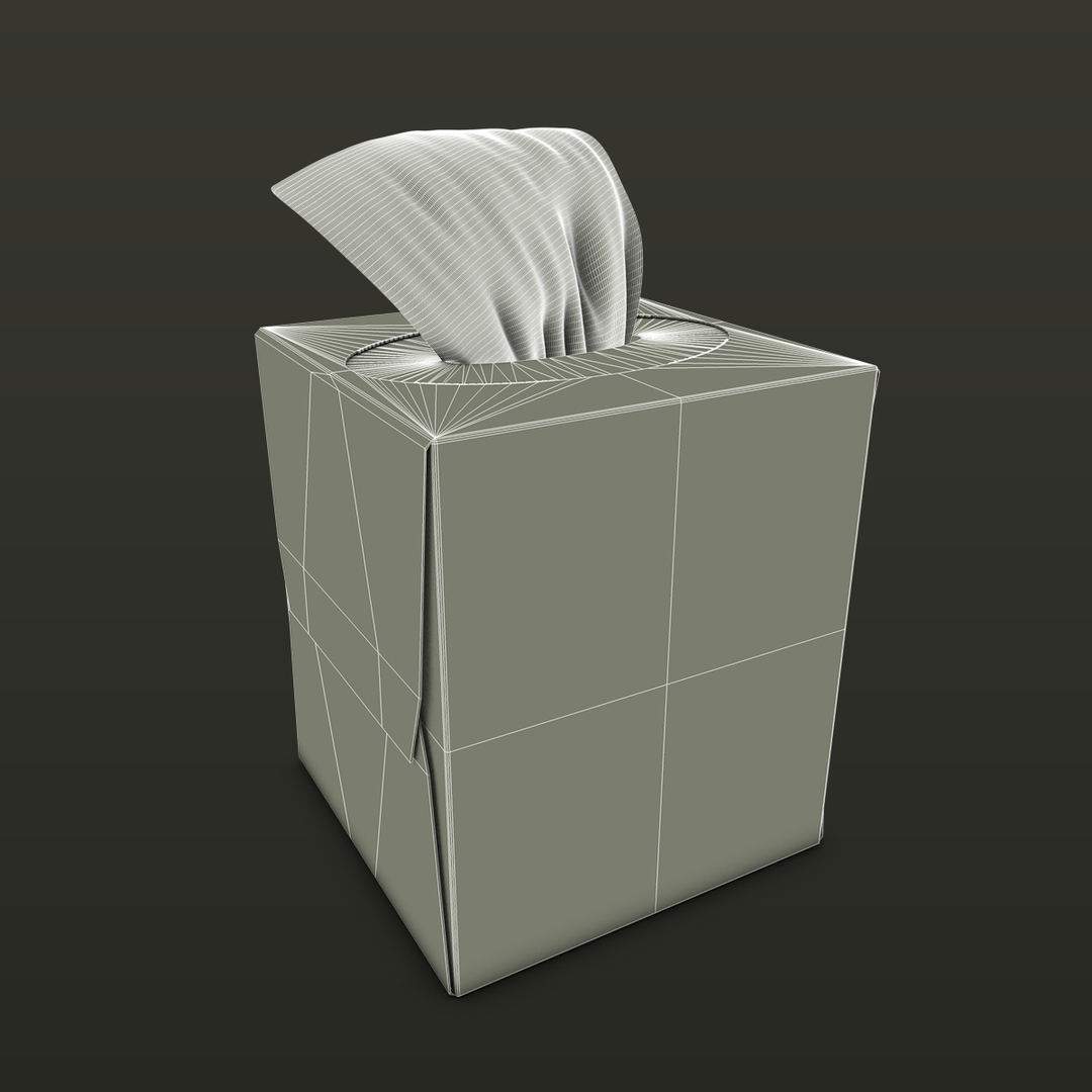 Contains Tissue Box 3d Model