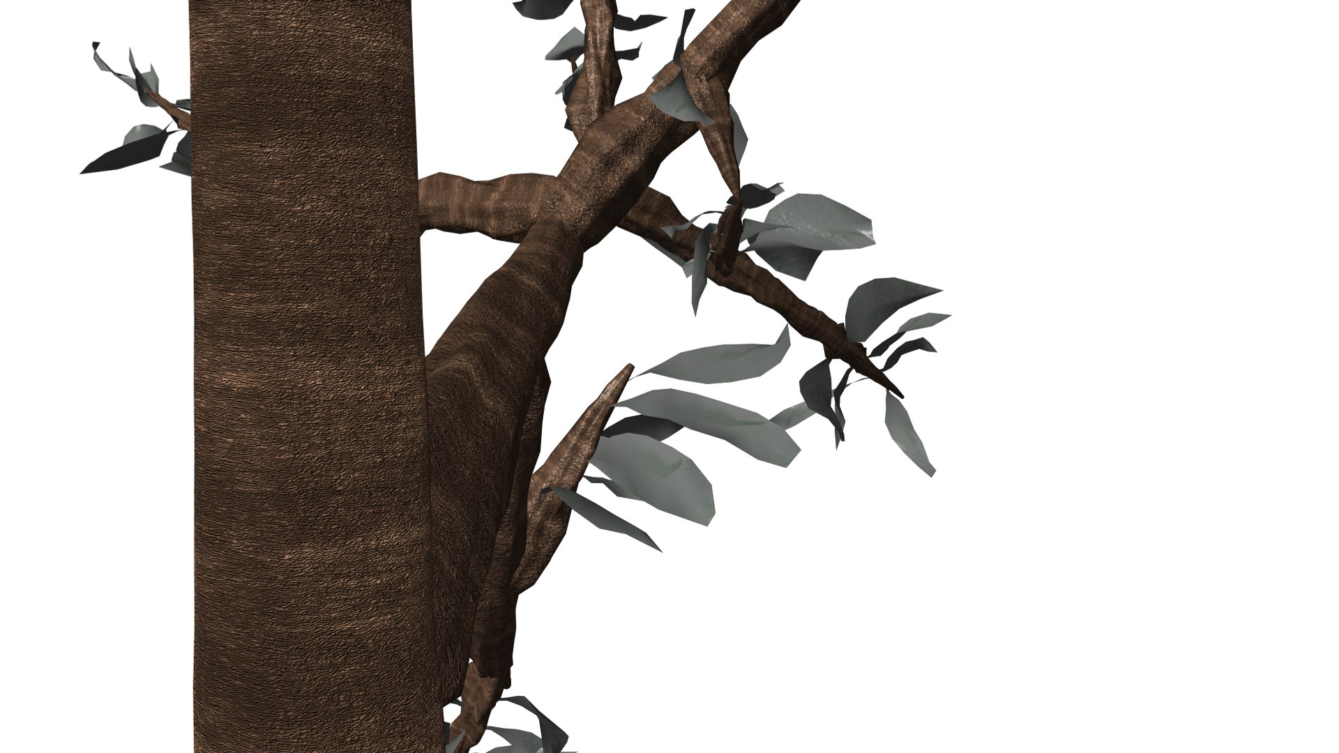 3D 3D Mid-Poly tree models set - 3 Trees - TurboSquid 2063190