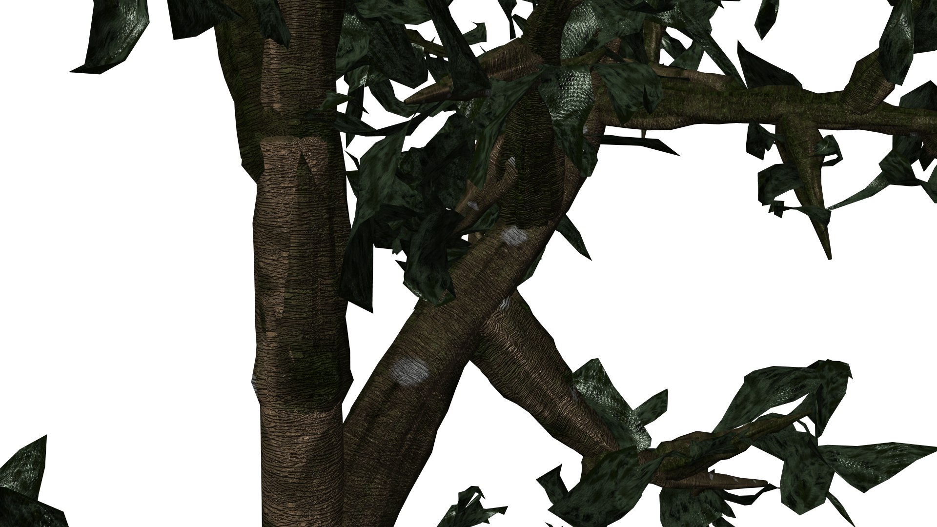 3D 3D Mid-Poly tree models set - 3 Trees - TurboSquid 2063190