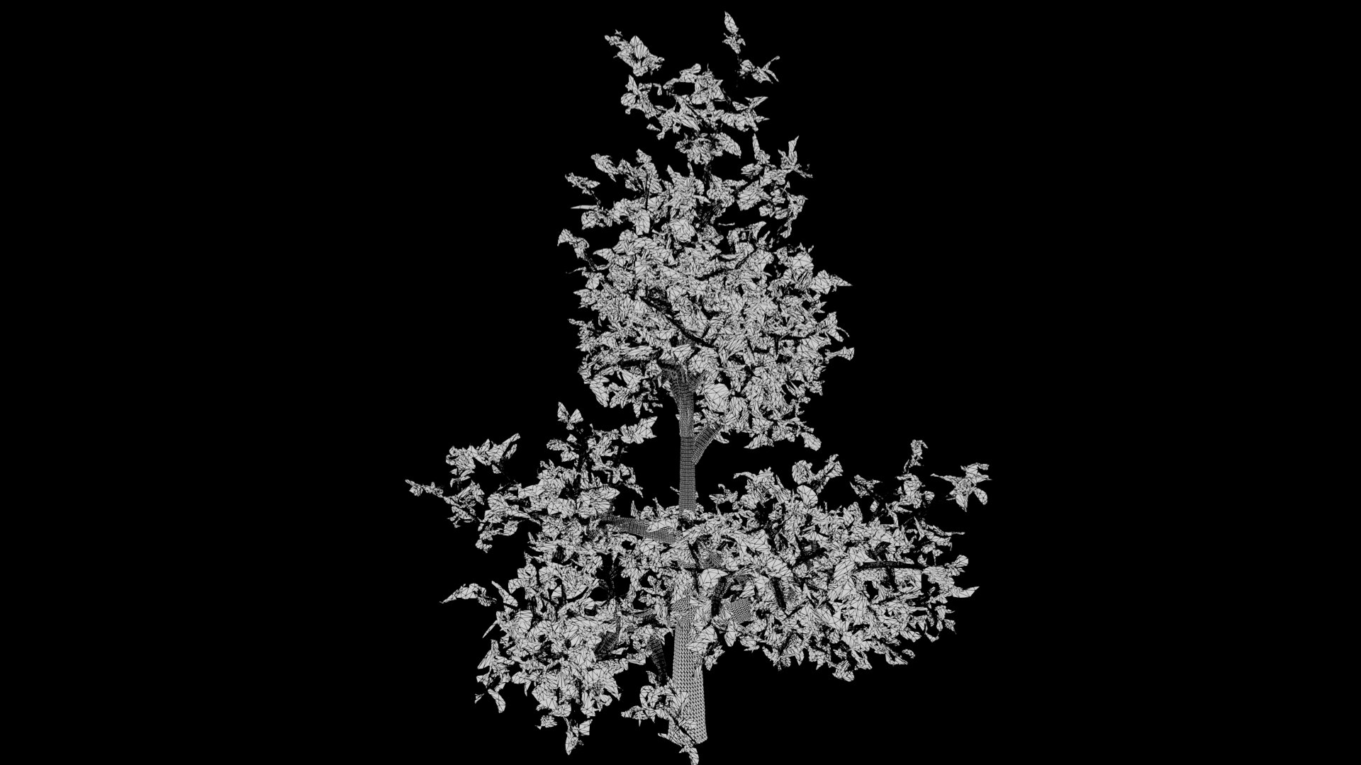 3D 3D Mid-Poly tree models set - 3 Trees - TurboSquid 2063190