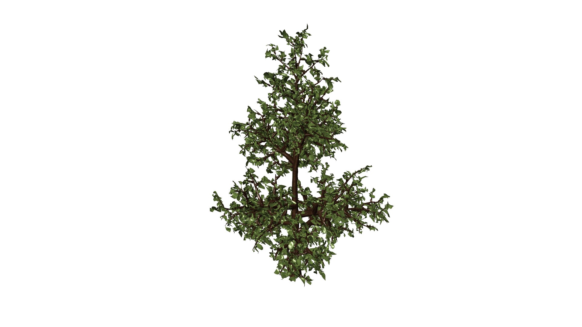 3D 3D Mid-Poly tree models set - 3 Trees - TurboSquid 2063190