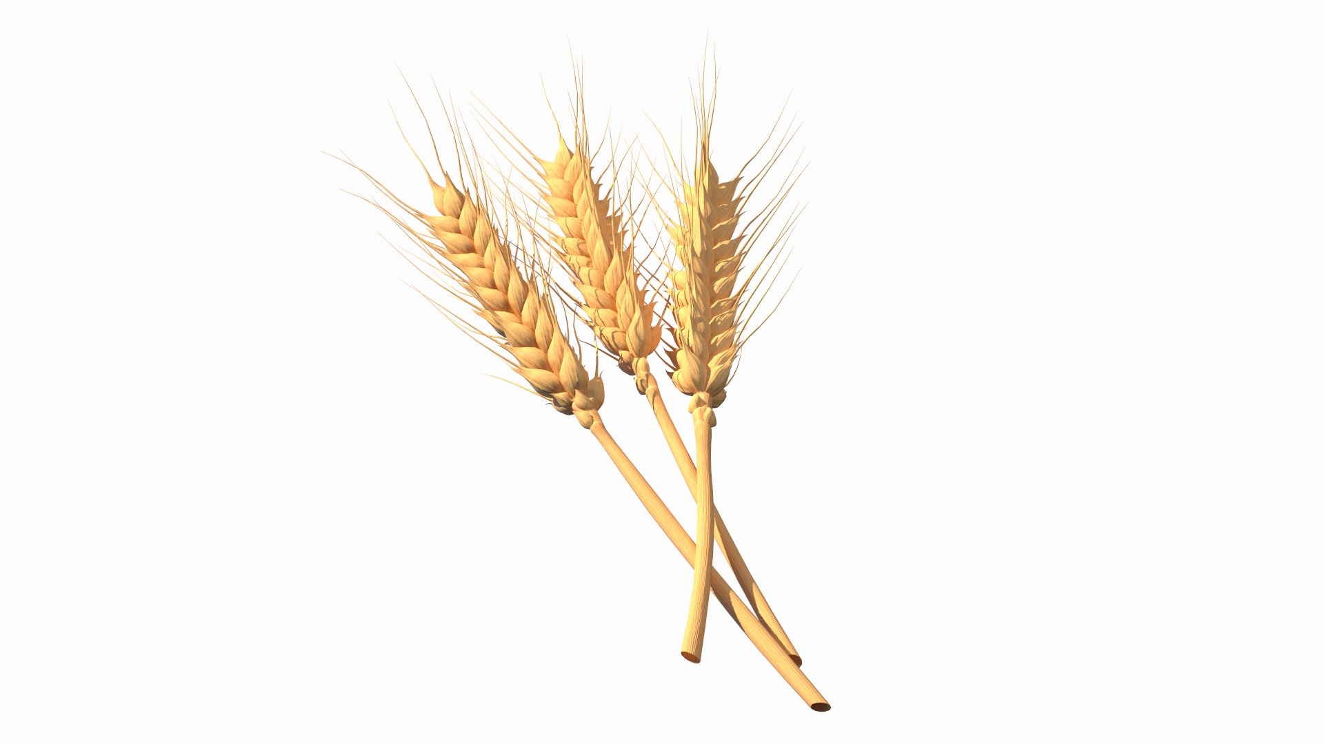 3D Model Wheat Grain Pile - TurboSquid 1597157