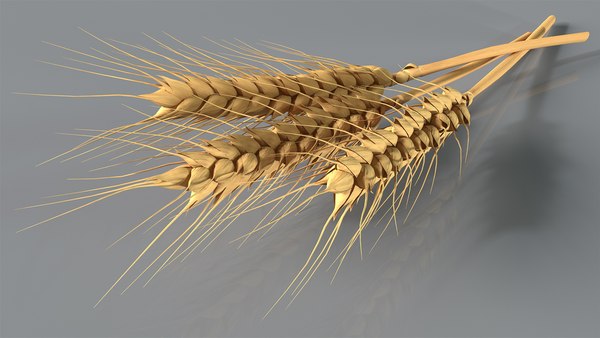 3D model wheat grain pile - TurboSquid 1597157