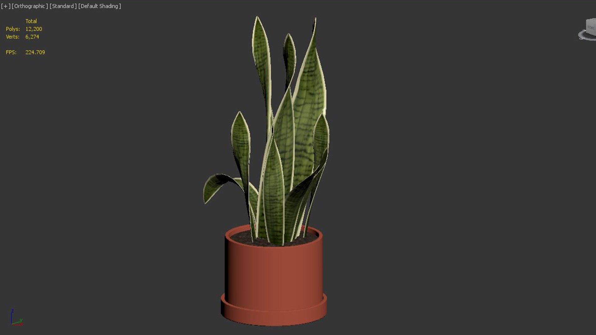 Snake Plant - Sansevieria 2 3D Model - TurboSquid 1924606