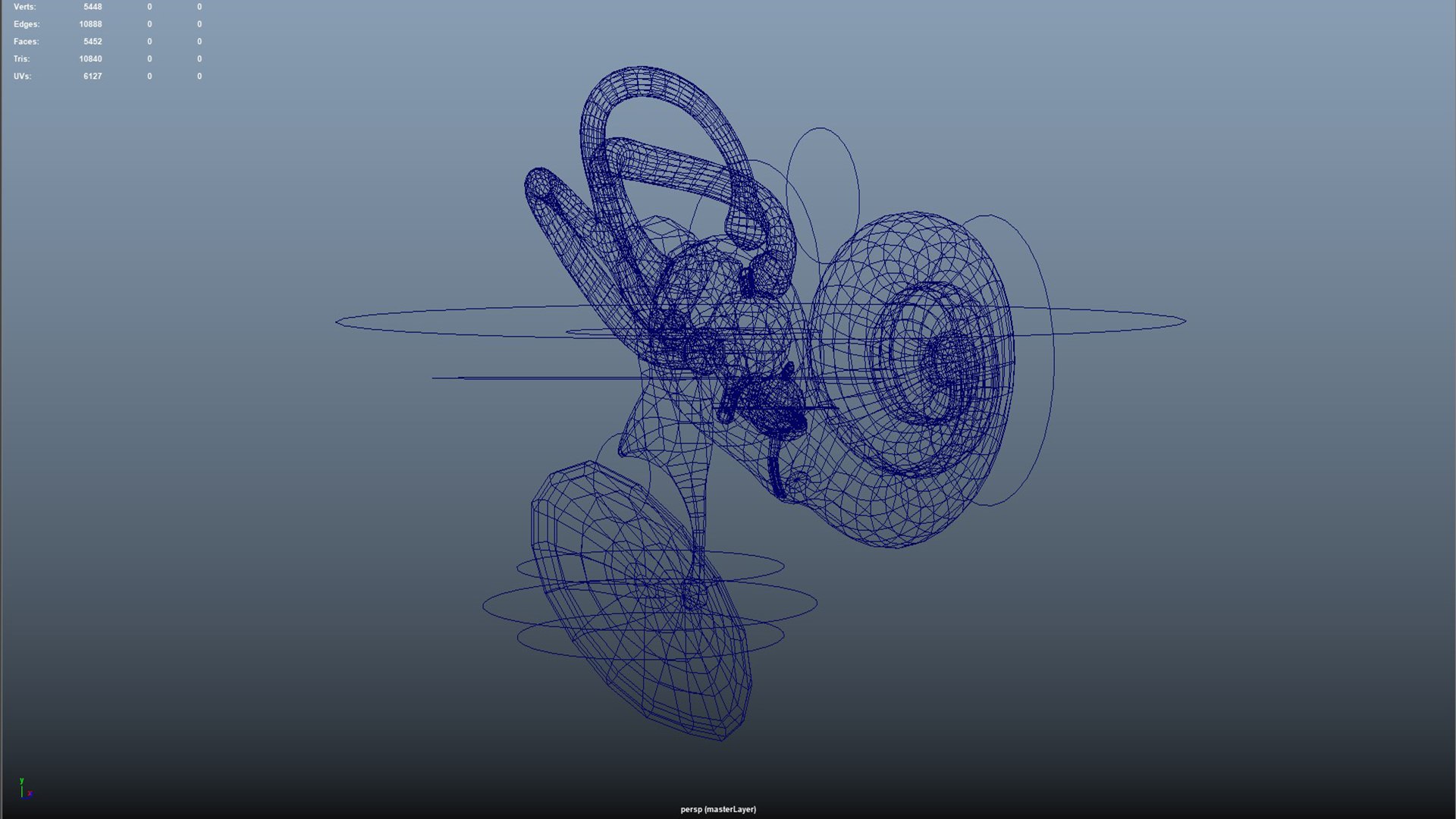 Cochlea With Ear Ossicles 3D Model - TurboSquid 2190696