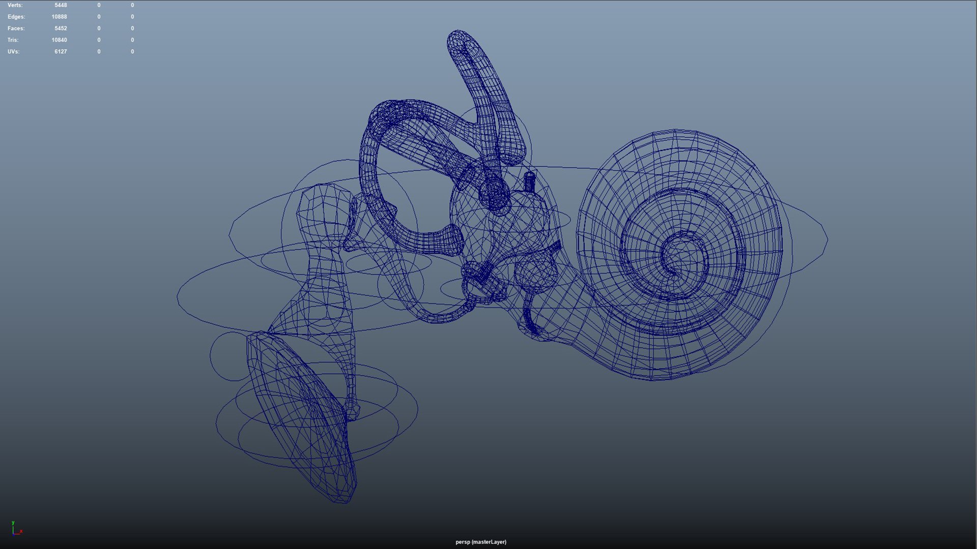 Cochlea With Ear Ossicles 3D Model - TurboSquid 2190696