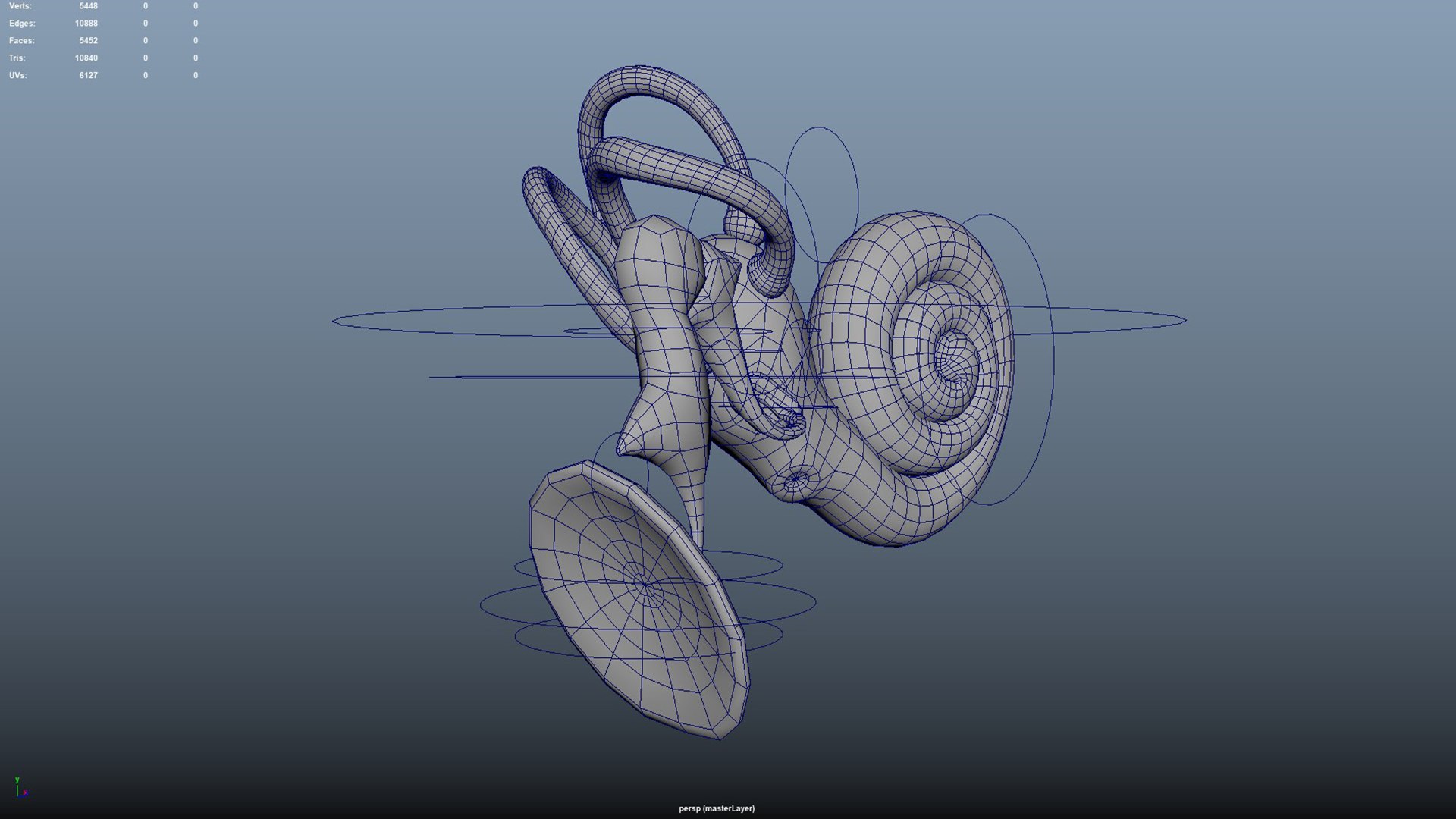 Cochlea With Ear Ossicles 3D Model - TurboSquid 2190696