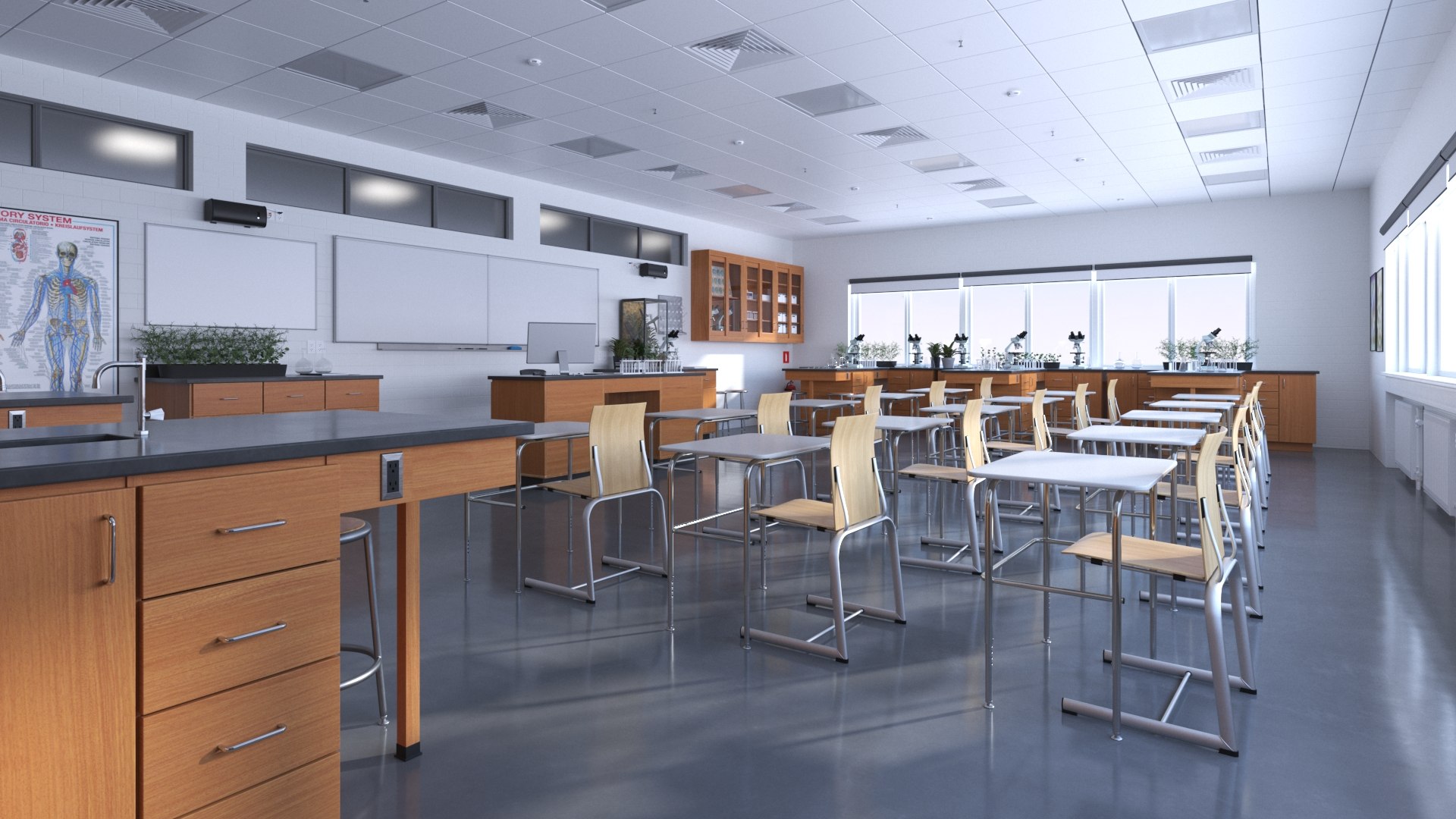 Biology anatomy classroom 3D model - TurboSquid 1462962