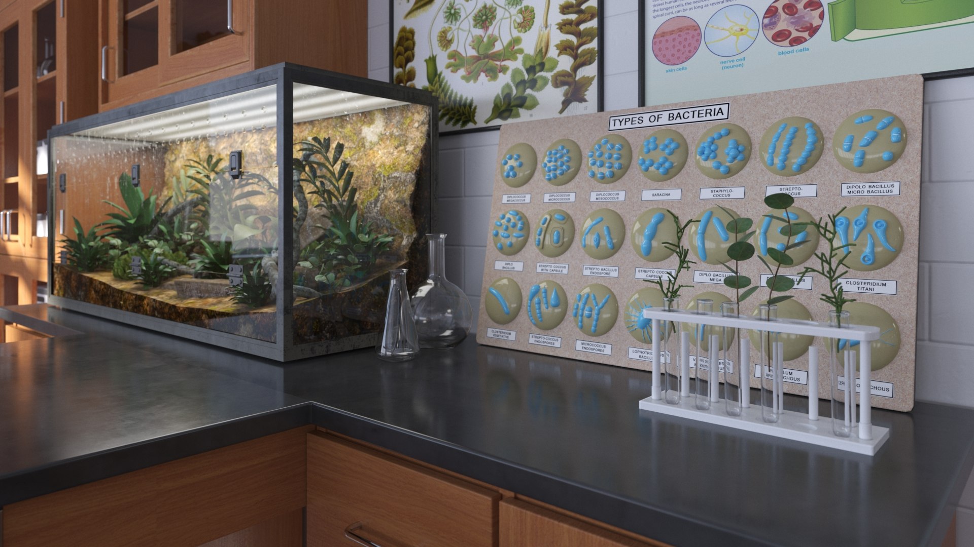 Biology anatomy classroom 3D model - TurboSquid 1462962