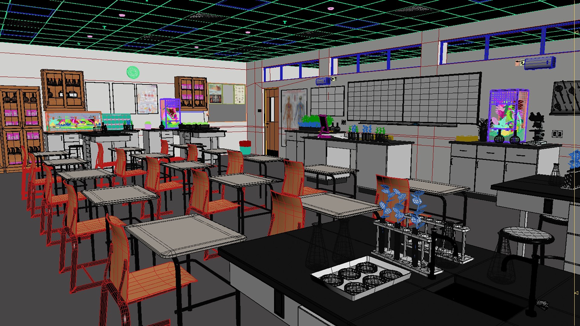 Biology anatomy classroom 3D model - TurboSquid 1462962