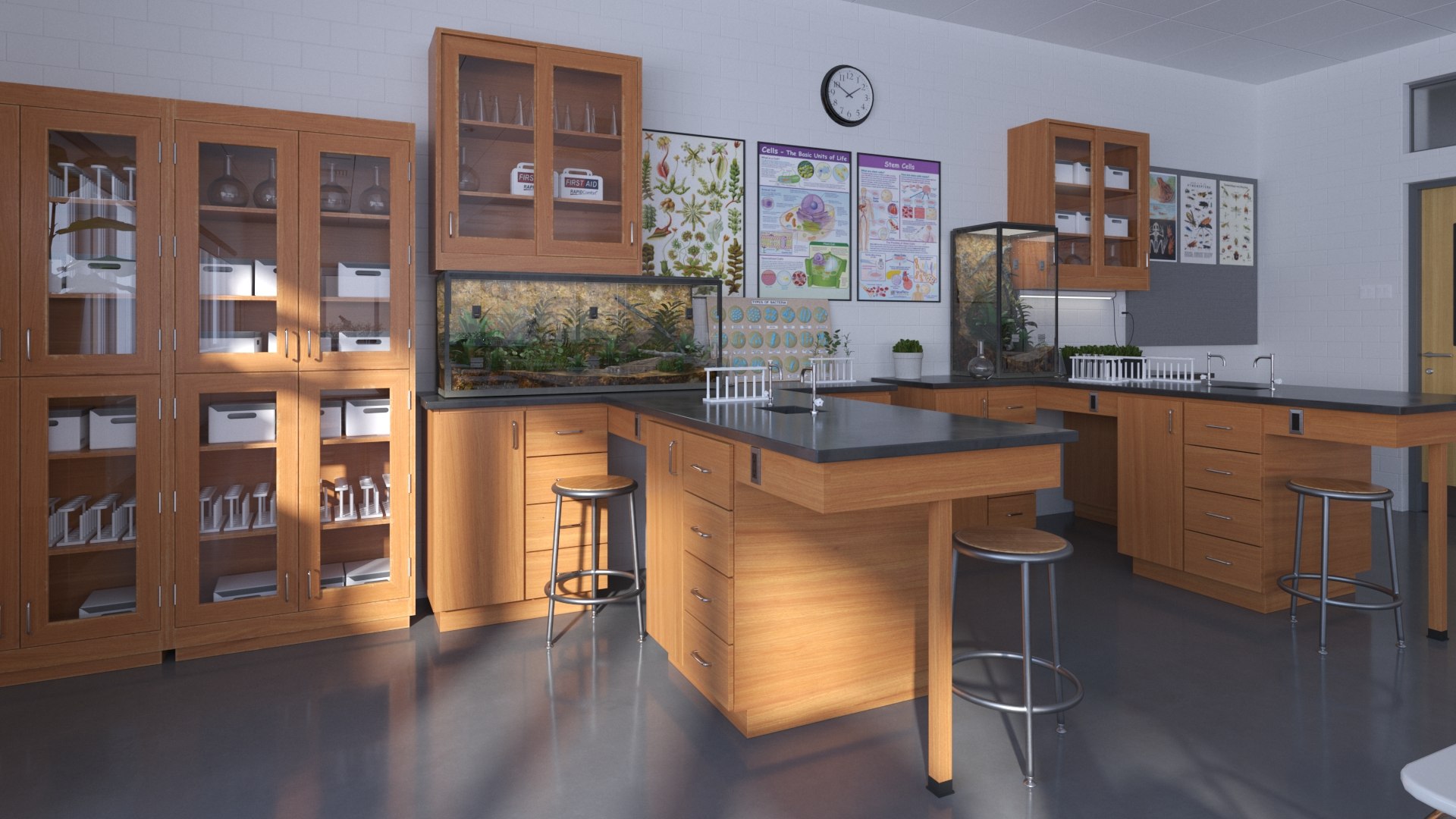 Biology anatomy classroom 3D model - TurboSquid 1462962
