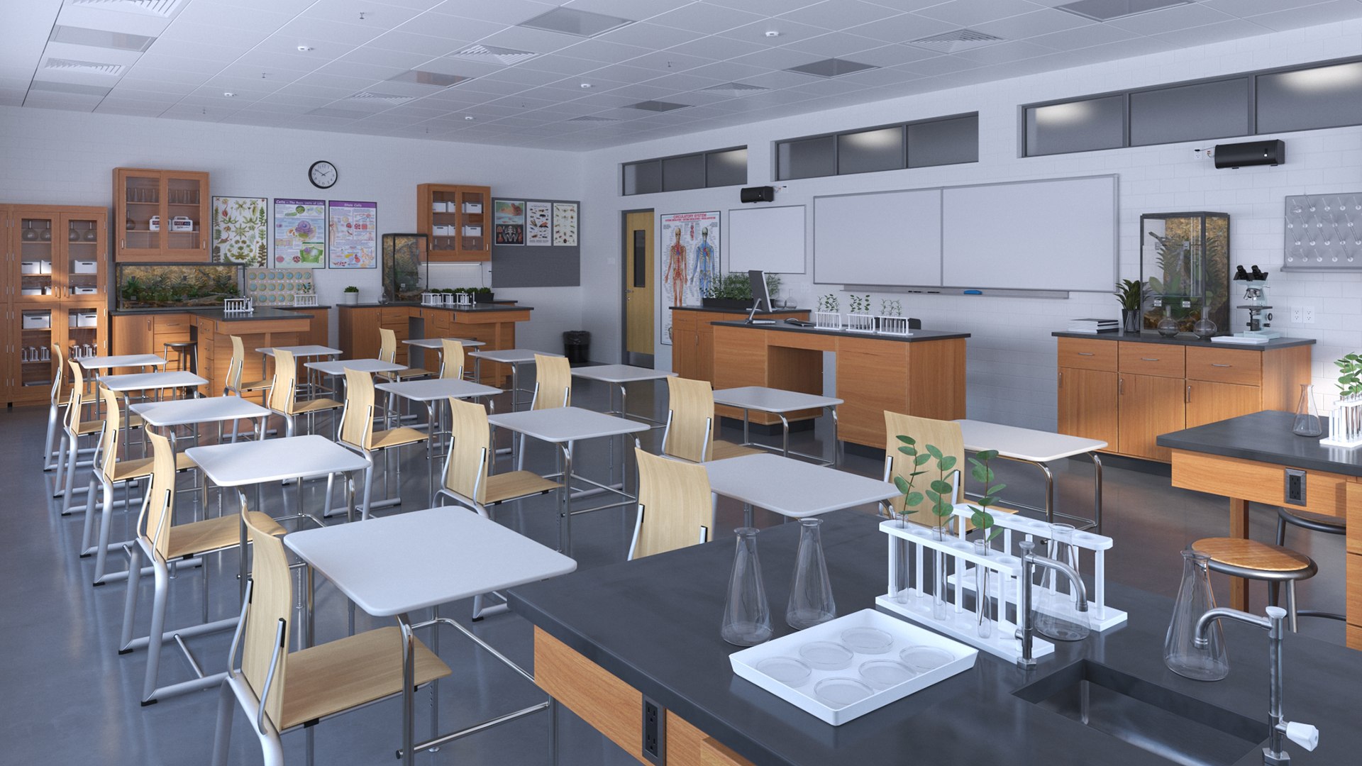 Biology anatomy classroom 3D model - TurboSquid 1462962