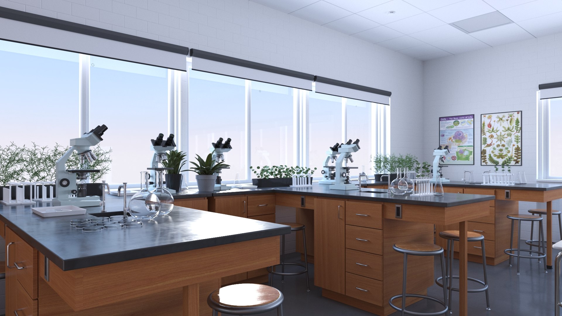 Biology anatomy classroom 3D model - TurboSquid 1462962