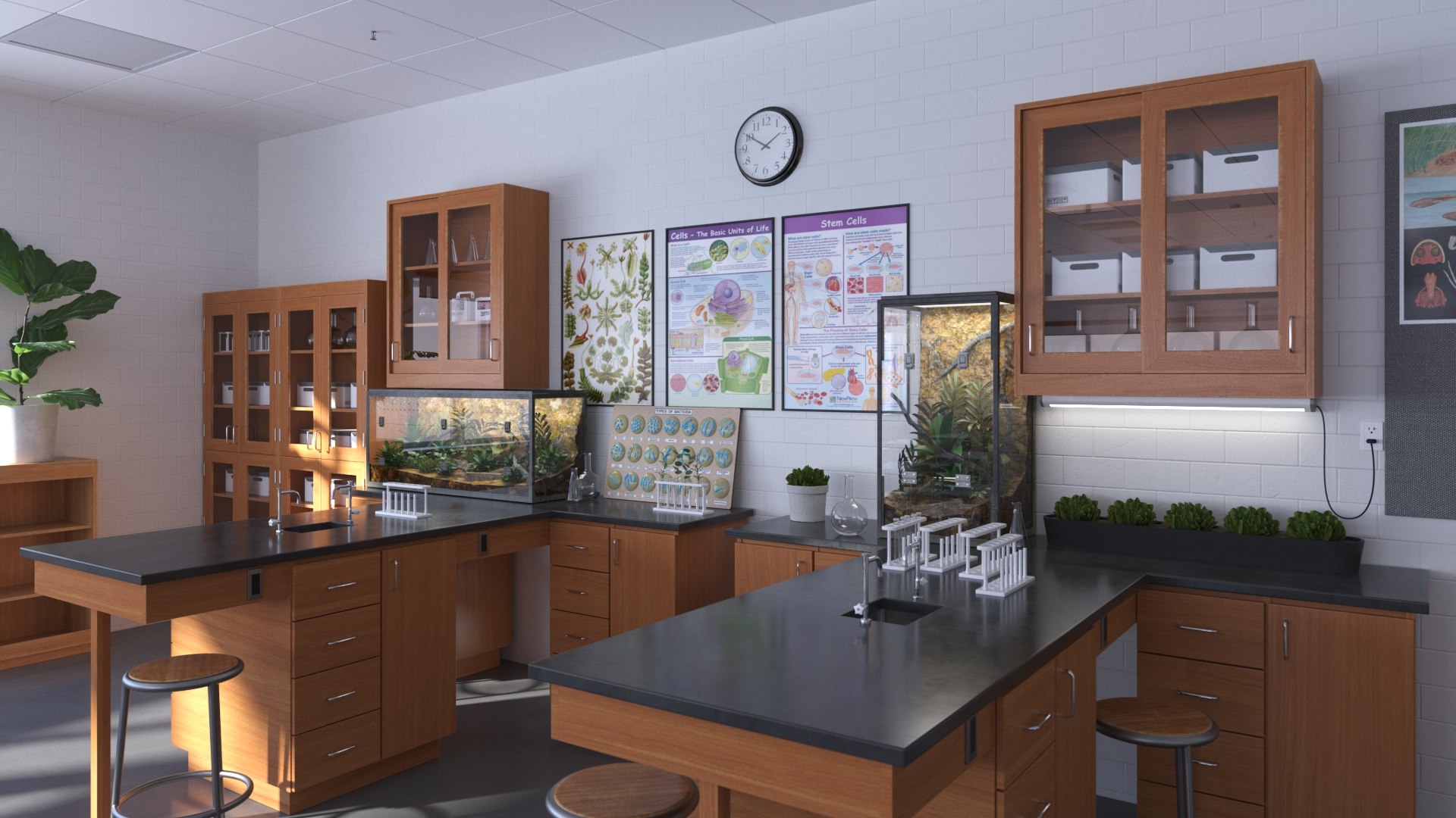 Biology anatomy classroom 3D model - TurboSquid 1462962