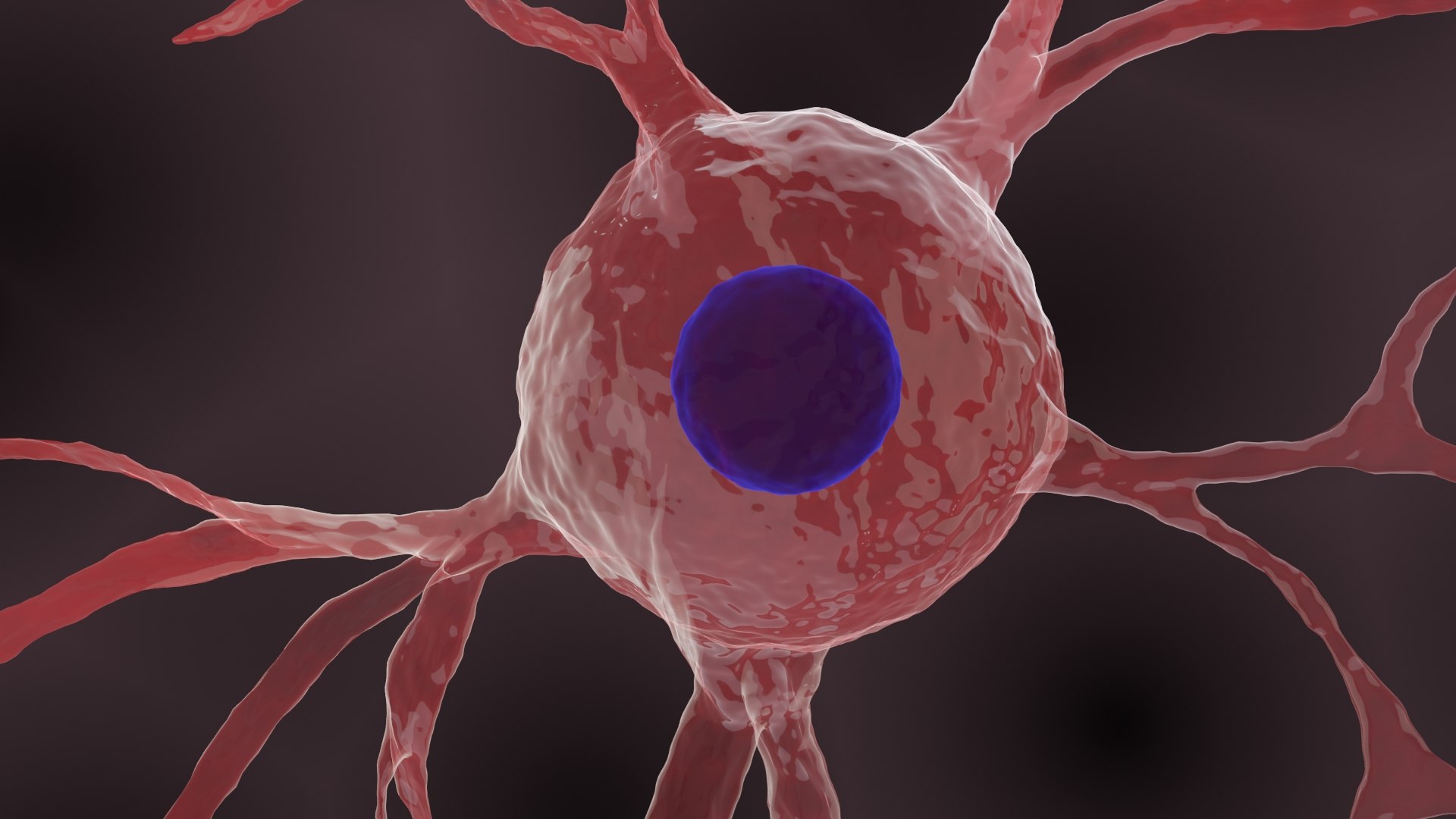 3D Model Astrocyte - TurboSquid 2026185