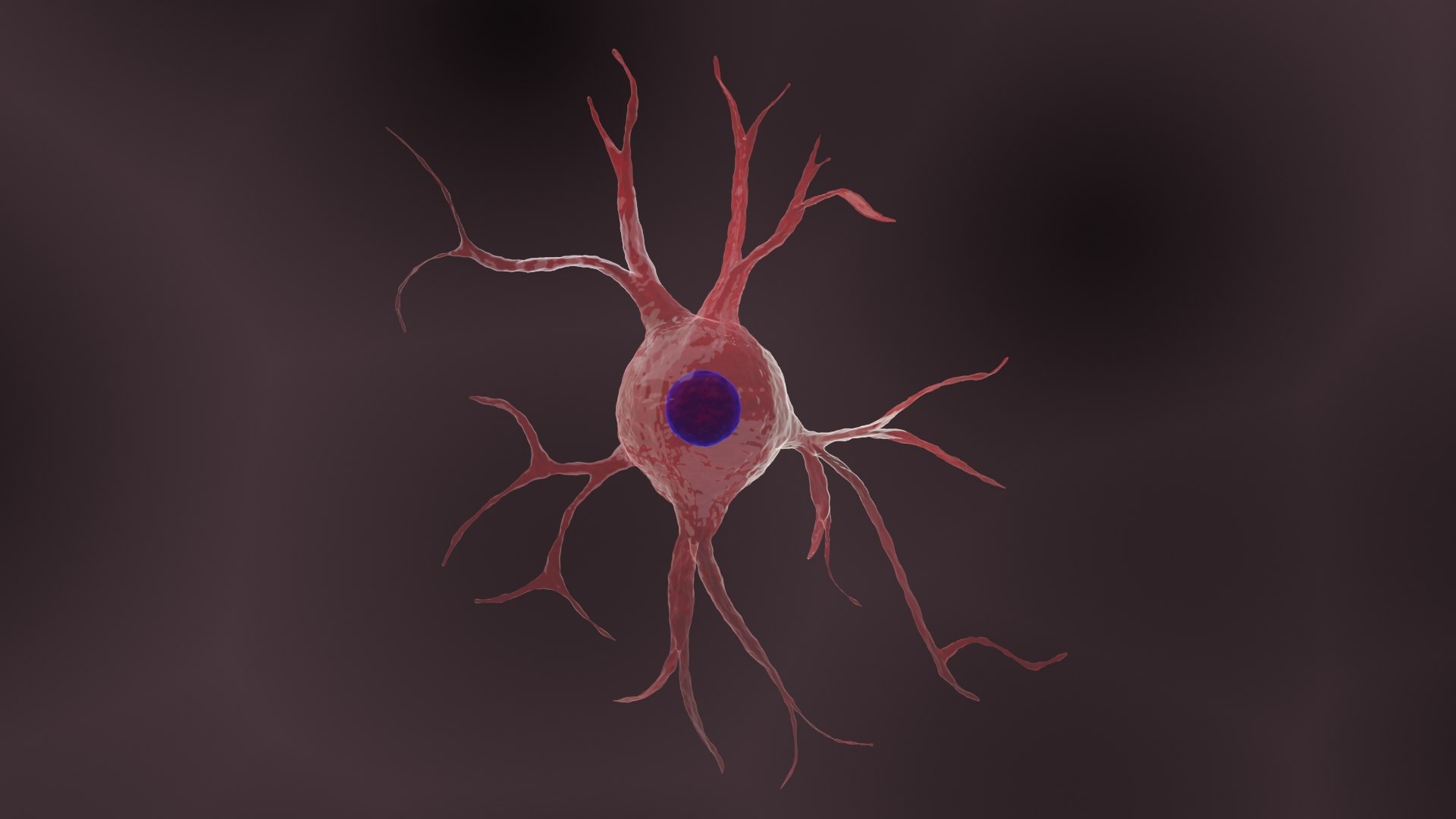 3D Model Astrocyte - TurboSquid 2026185