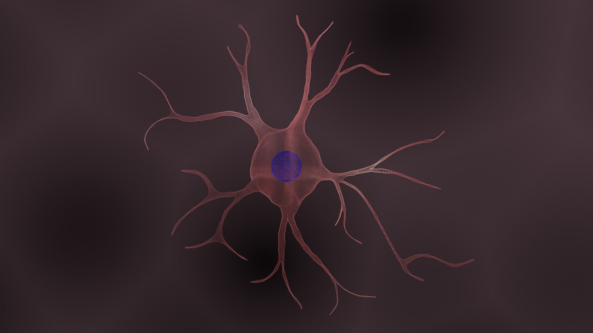 3D Model Astrocyte - TurboSquid 2026185
