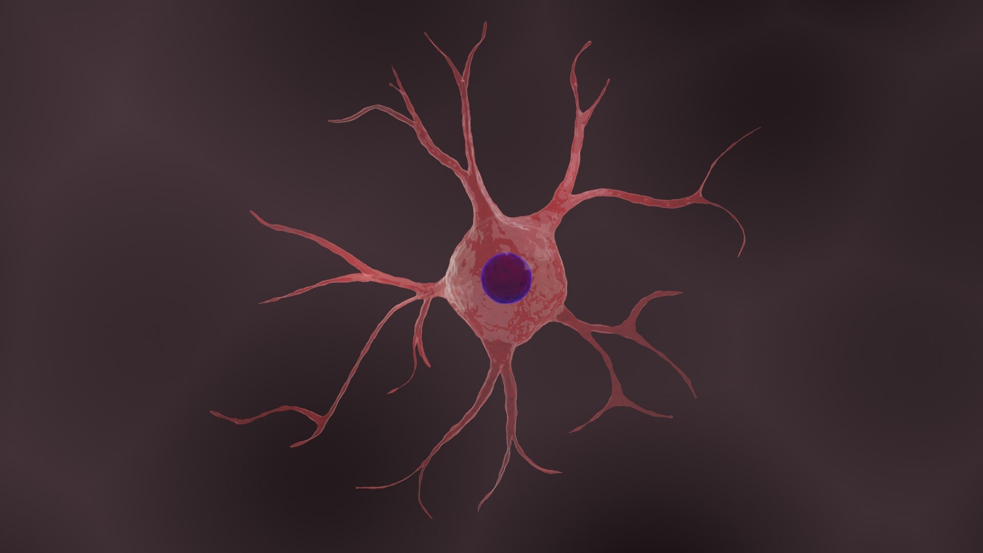 3d Model Astrocyte Turbosquid 2026185