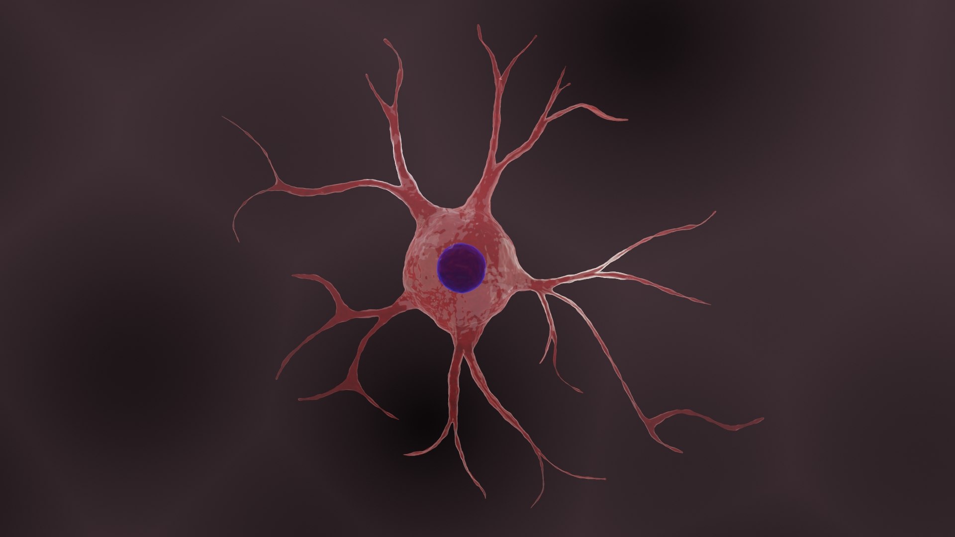 3D Model Astrocyte - TurboSquid 2026185