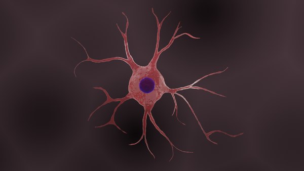 modelo 3d astrocyte - TurboSquid 2026185