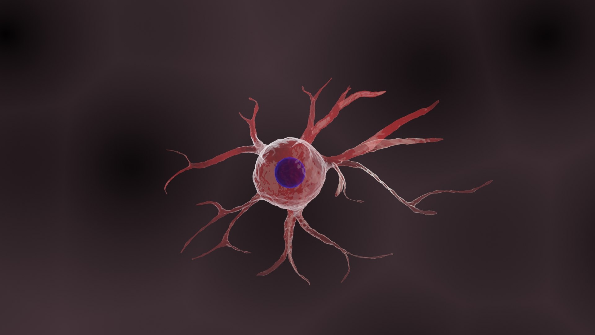 3D Model Astrocyte - TurboSquid 2026185