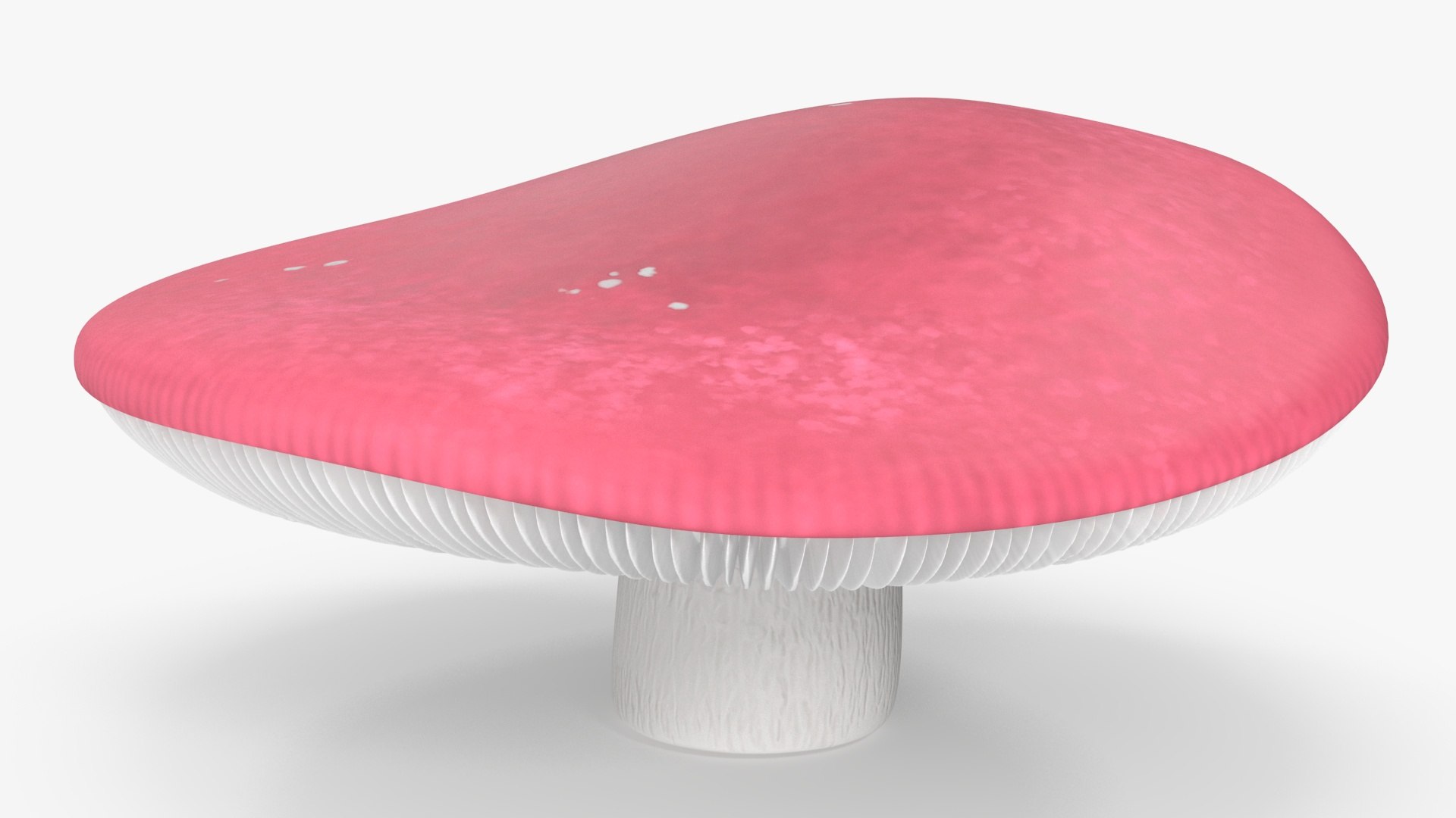 3D Russula - TurboSquid 2217119