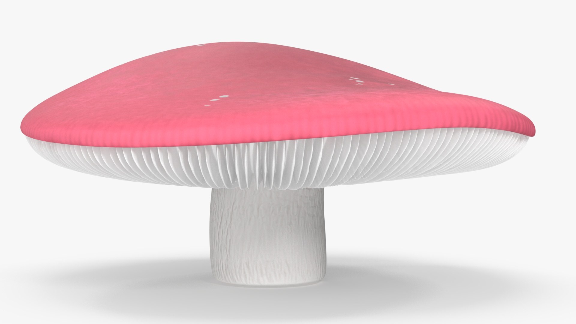 3D Russula - TurboSquid 2217119