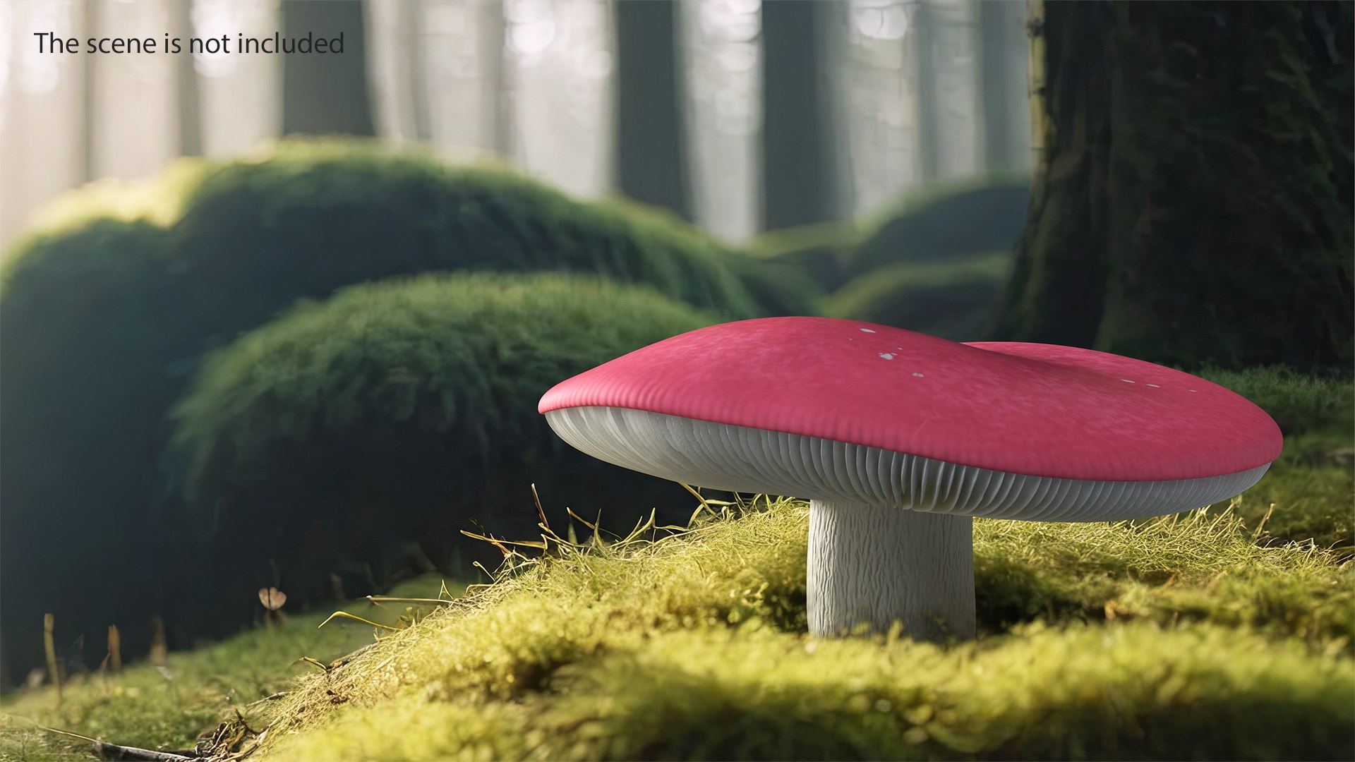 3D Russula - TurboSquid 2217119