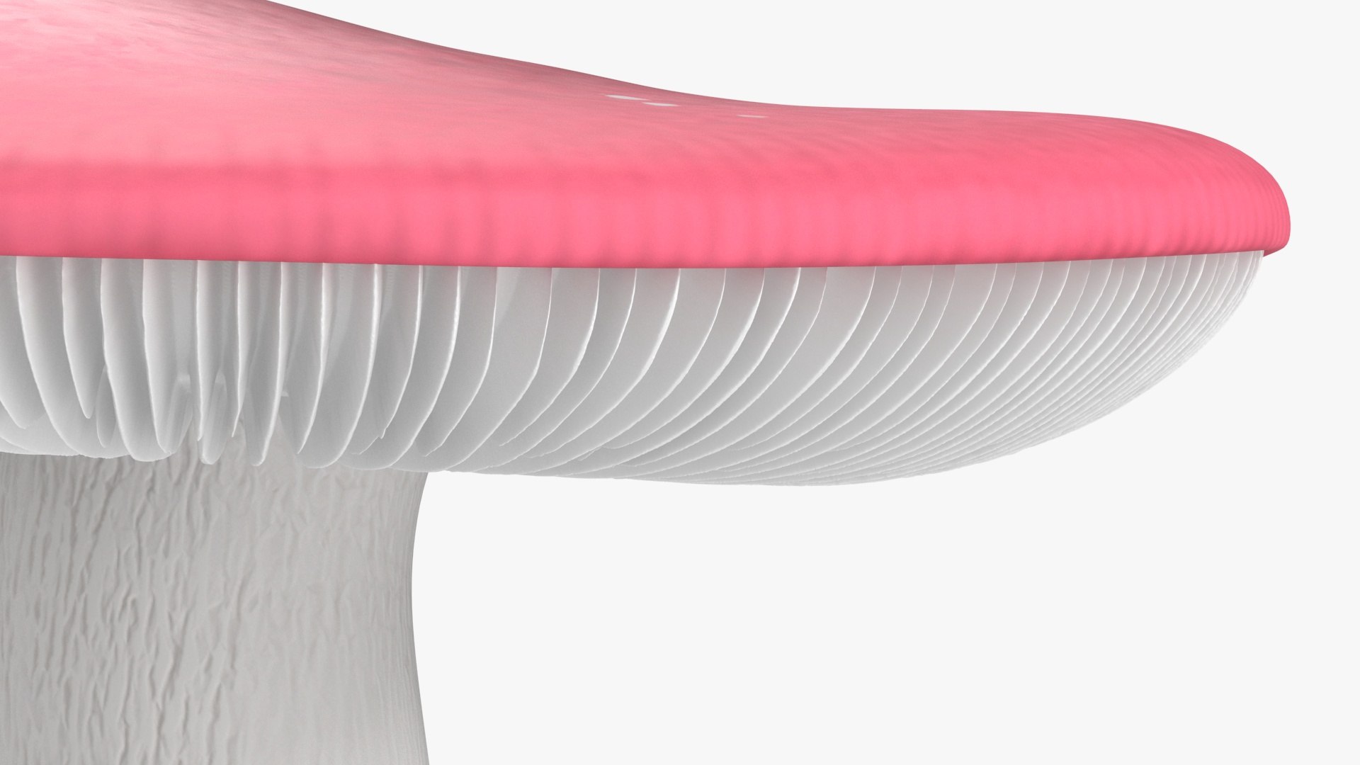 3D Russula - TurboSquid 2217119