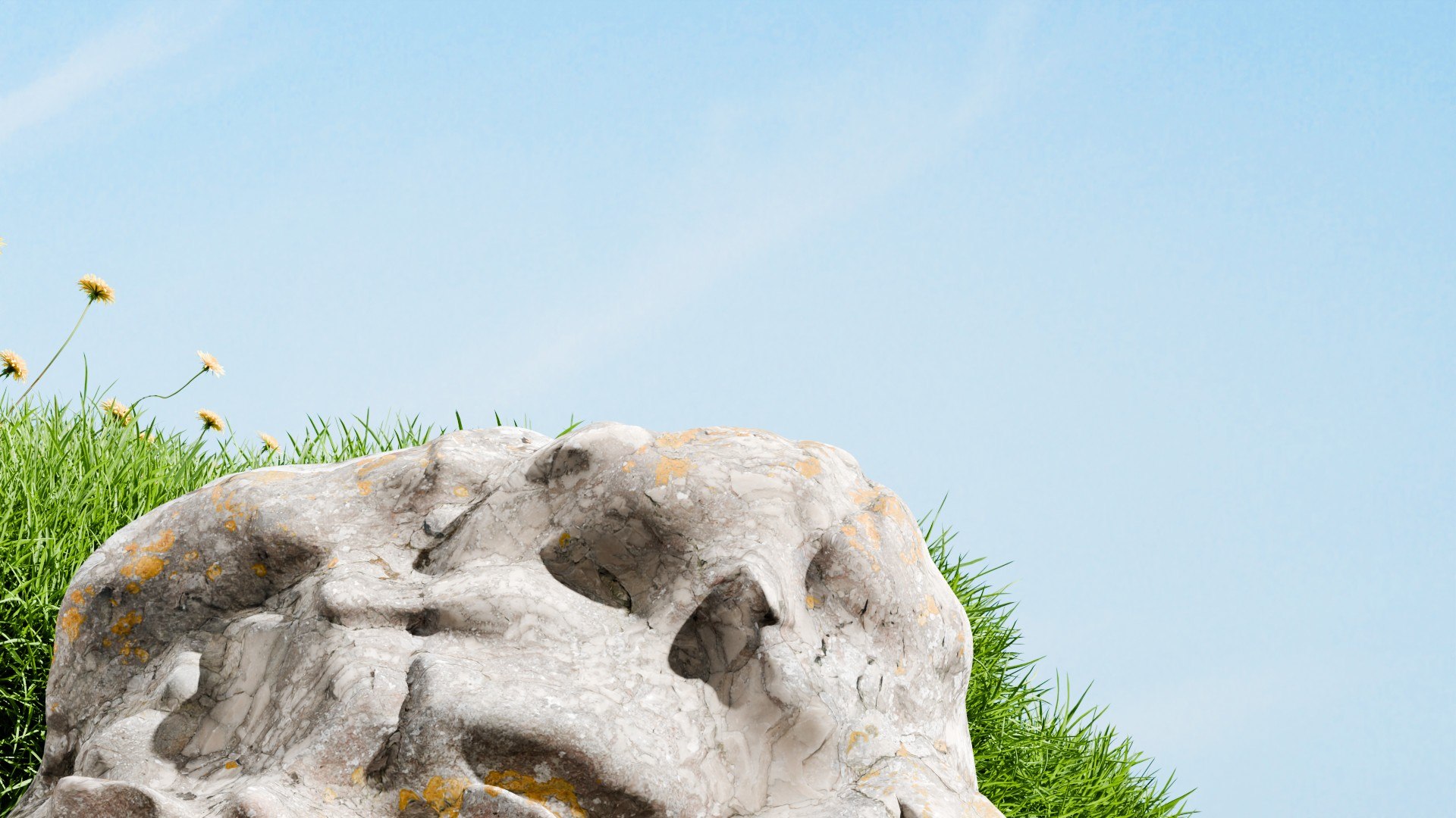 3D Grassland Skin Care Blender Model - TurboSquid 2447387