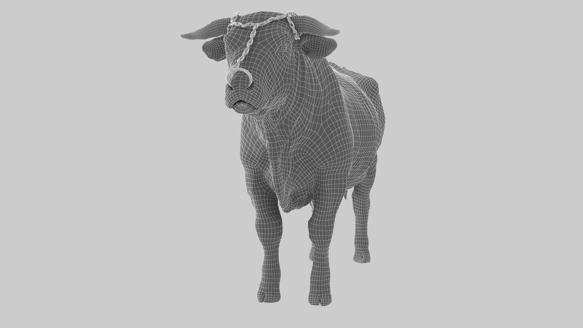 3D Bull Model - TurboSquid 1809084