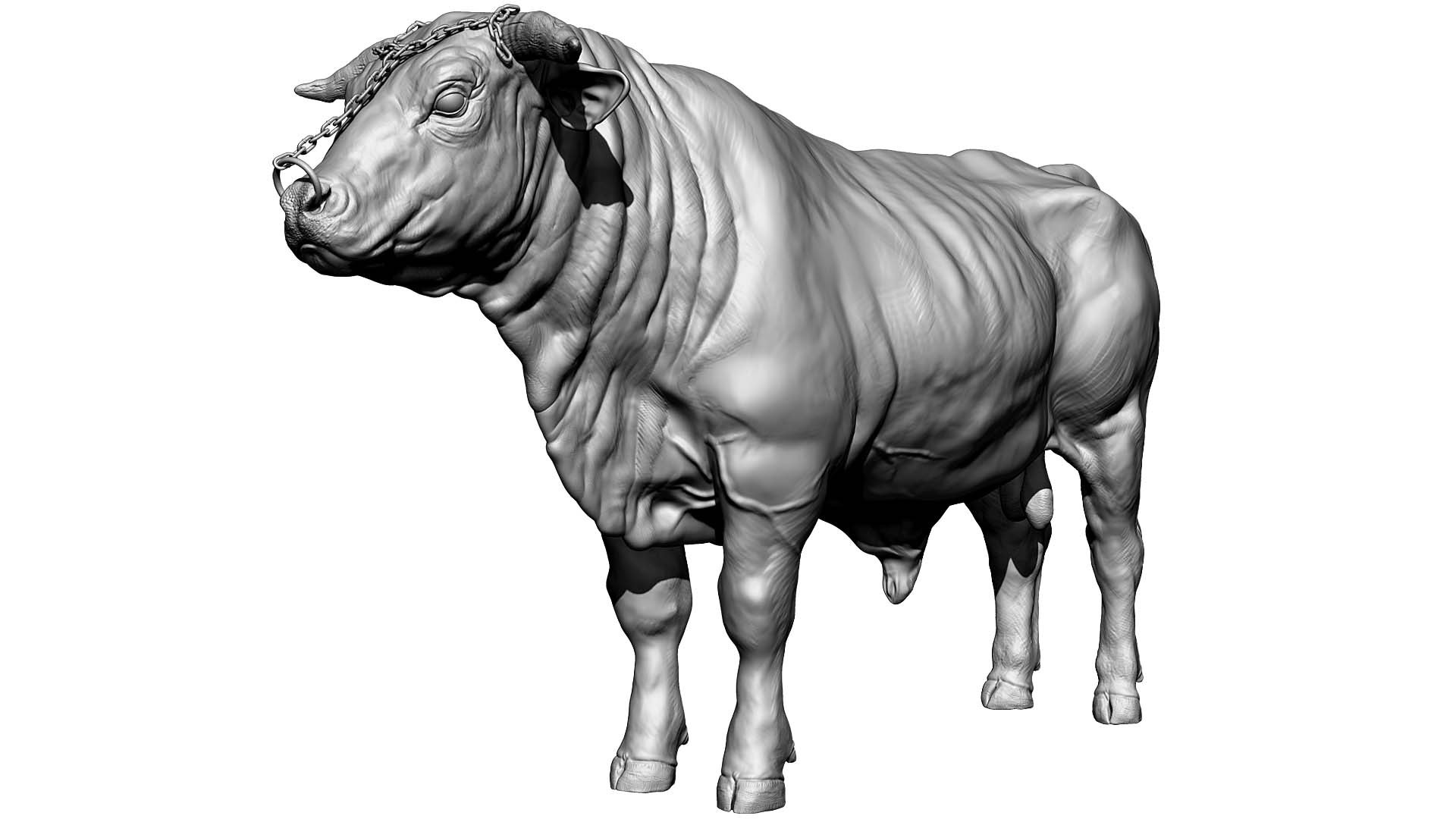 3D Bull Model - TurboSquid 1809084