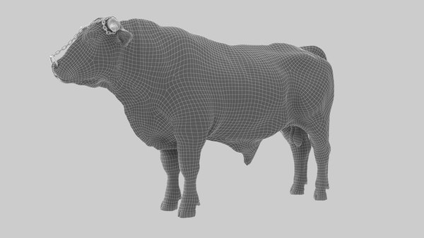 modelo 3d Toro - TurboSquid 1809084