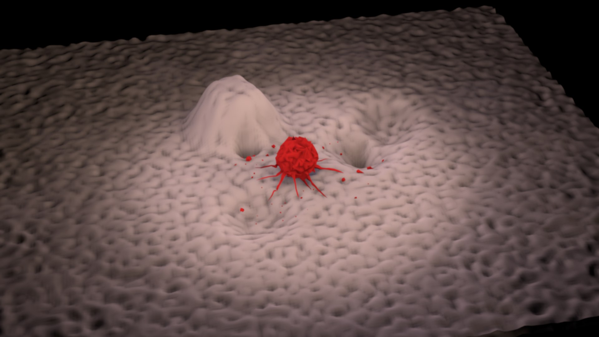 3d Stem Cell Bone Animation Model