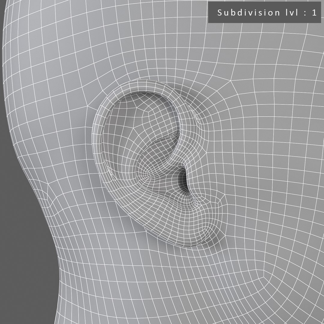 Photorealistic male body realistic head model | 1142050 | TurboSquid