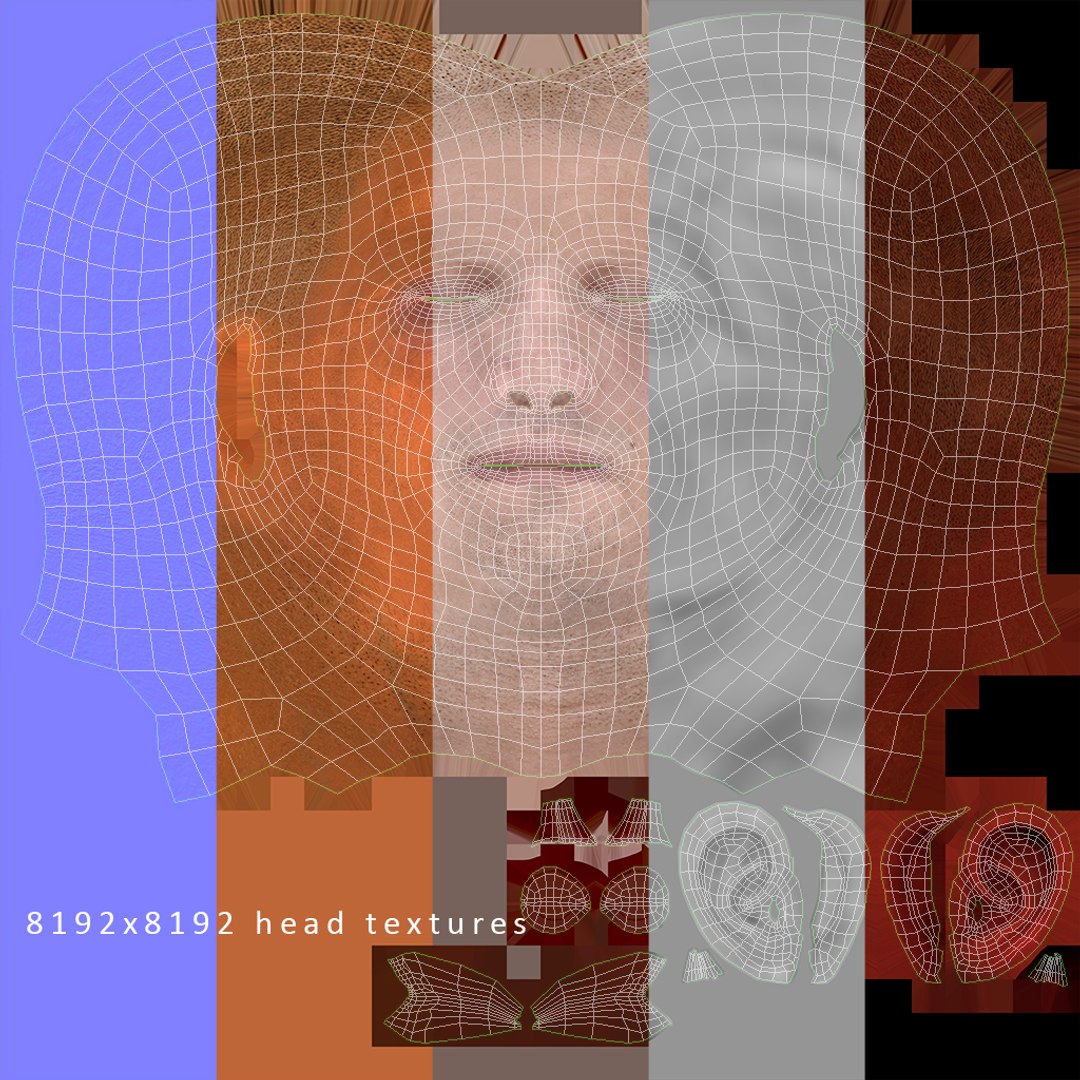 Photorealistic Male Body Realistic Head Model | 1142050 | TurboSquid