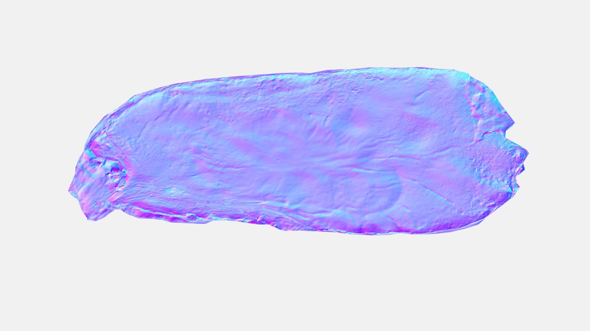 3D Model Painted Shell - TurboSquid 2193075