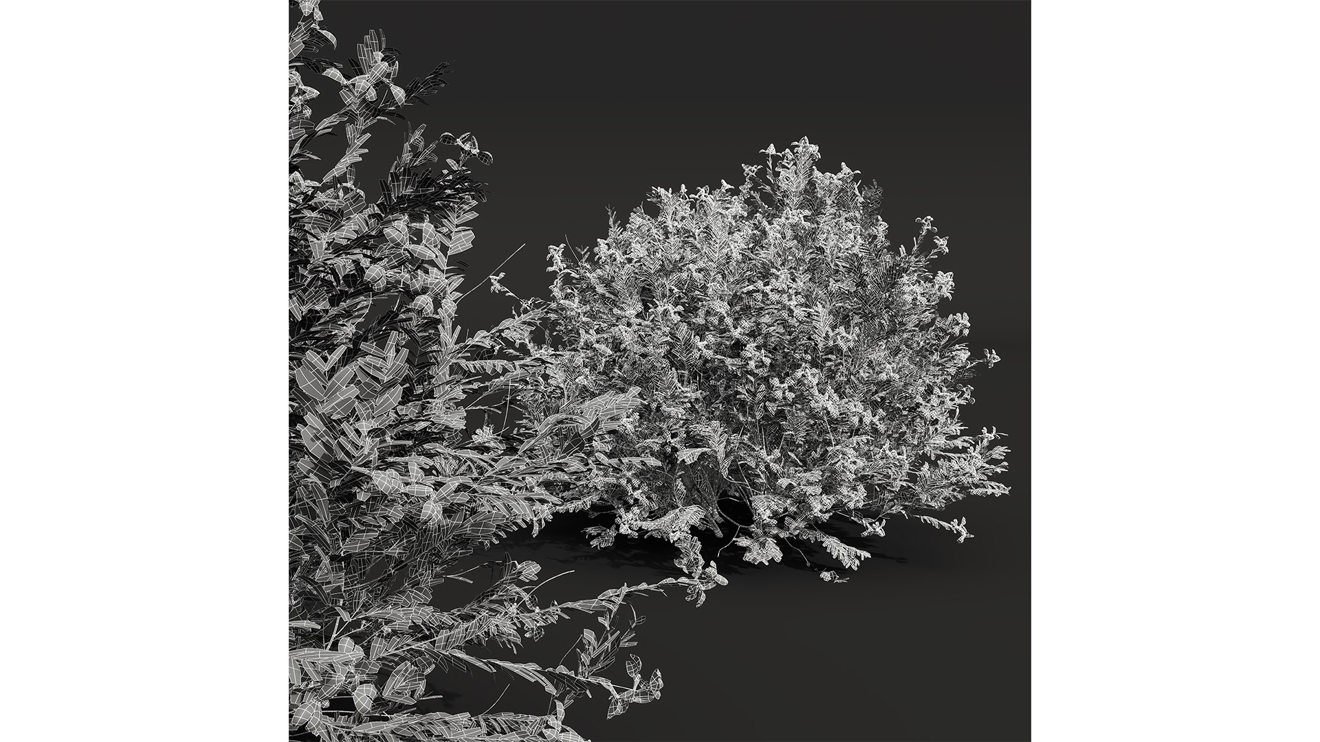 3D 6 Different SETS Of Bush Set Vol 21 Model - TurboSquid 2185823