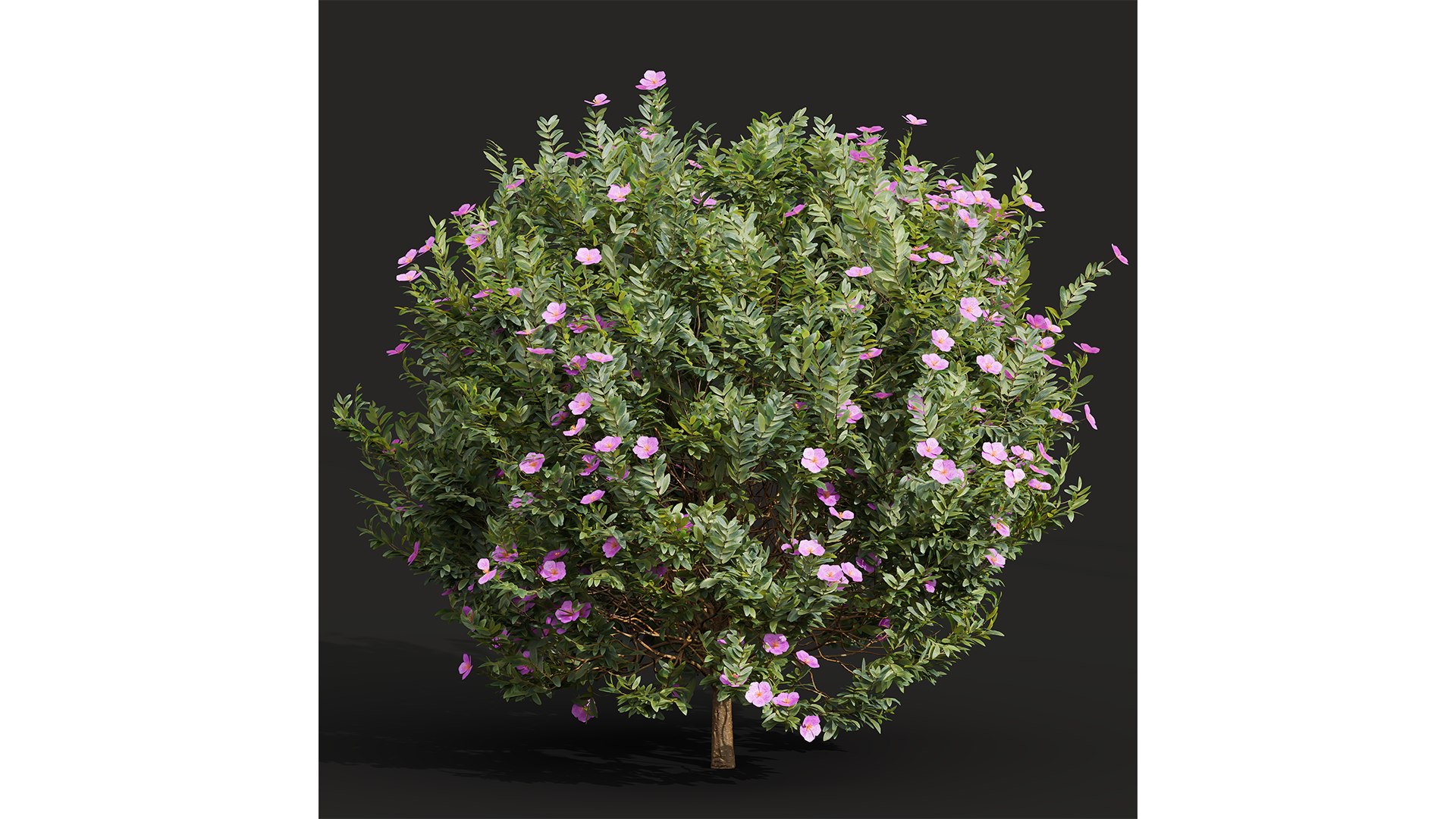 3D 6 Different SETS Of Bush Set Vol 21 Model - TurboSquid 2185823