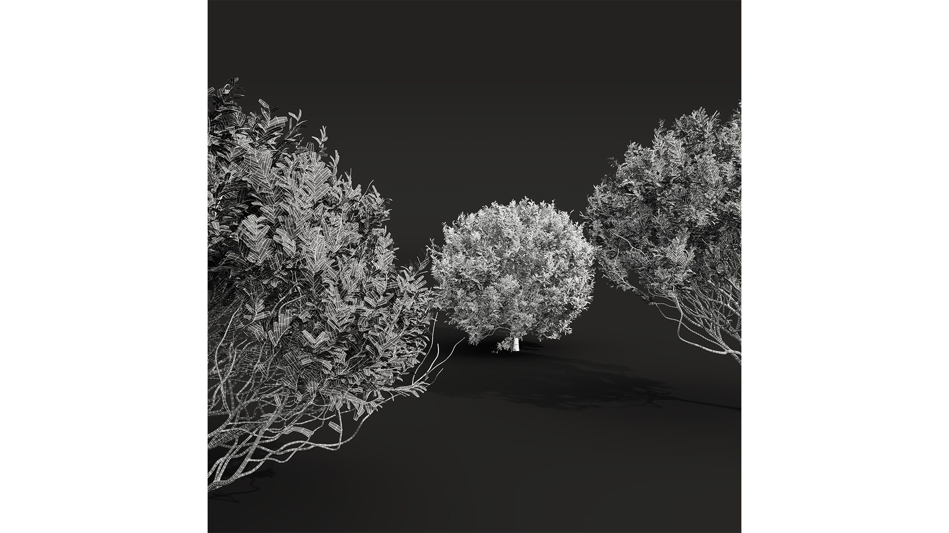 3D 6 Different SETS Of Bush Set Vol 21 Model - TurboSquid 2185823