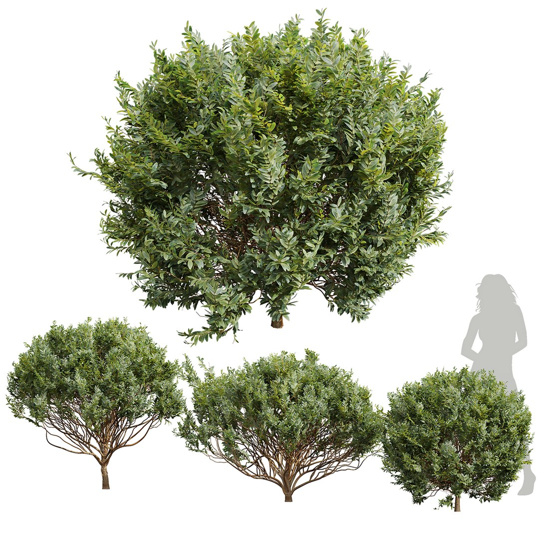 3D 6 Different SETS Of Bush Set Vol 21 Model - TurboSquid 2185823