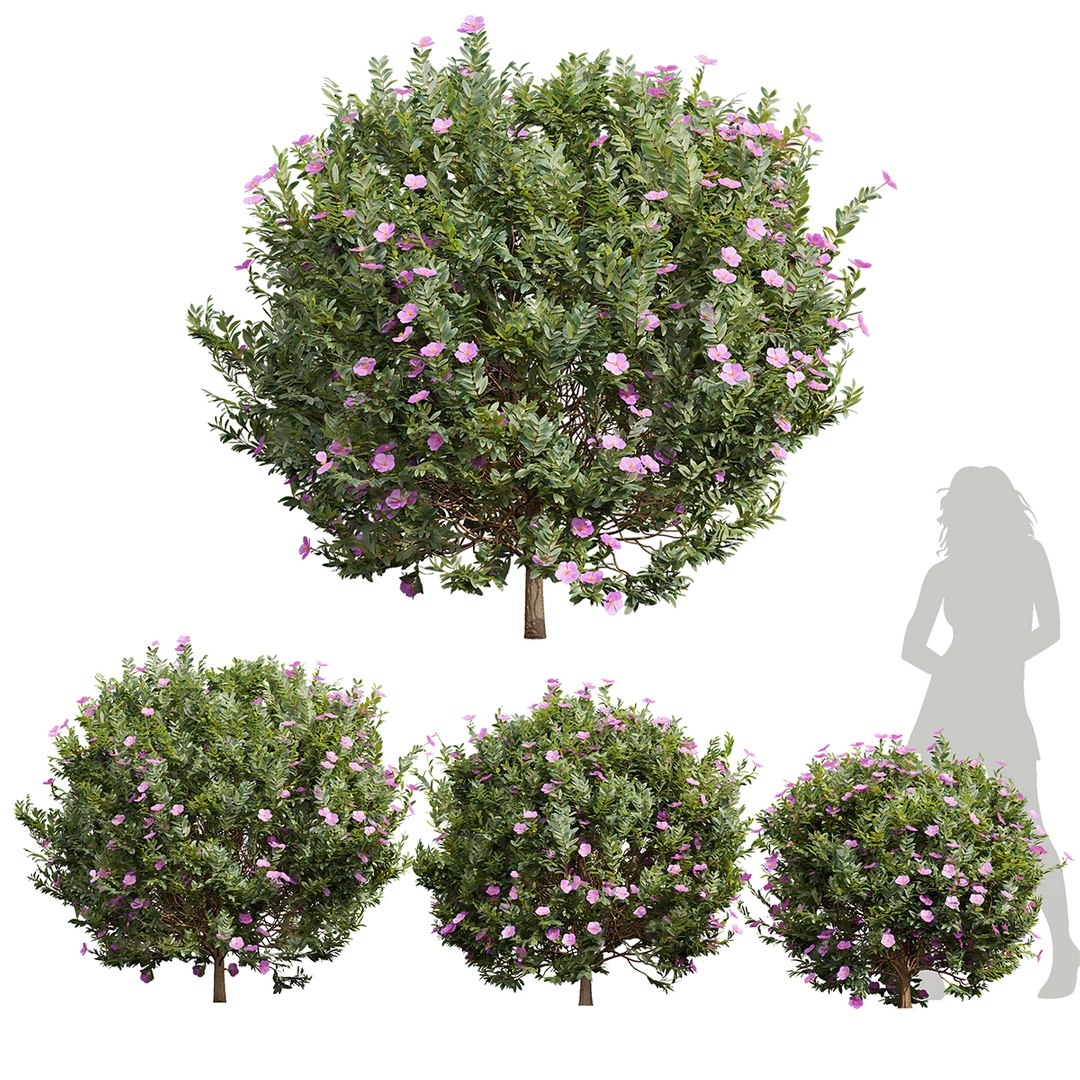 3D 6 Different SETS Of Bush Set Vol 21 Model - TurboSquid 2185823