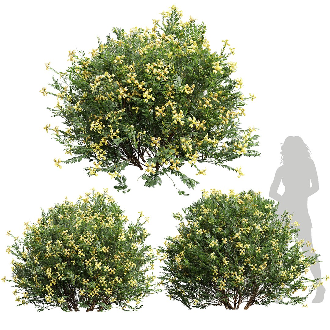 3D 6 Different SETS Of Bush Set Vol 21 Model - TurboSquid 2185823