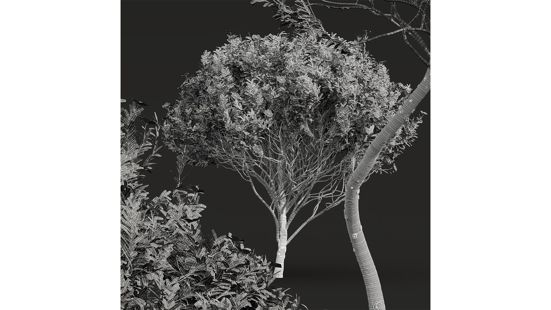 3D 6 Different SETS Of Bush Set Vol 21 Model - TurboSquid 2185823