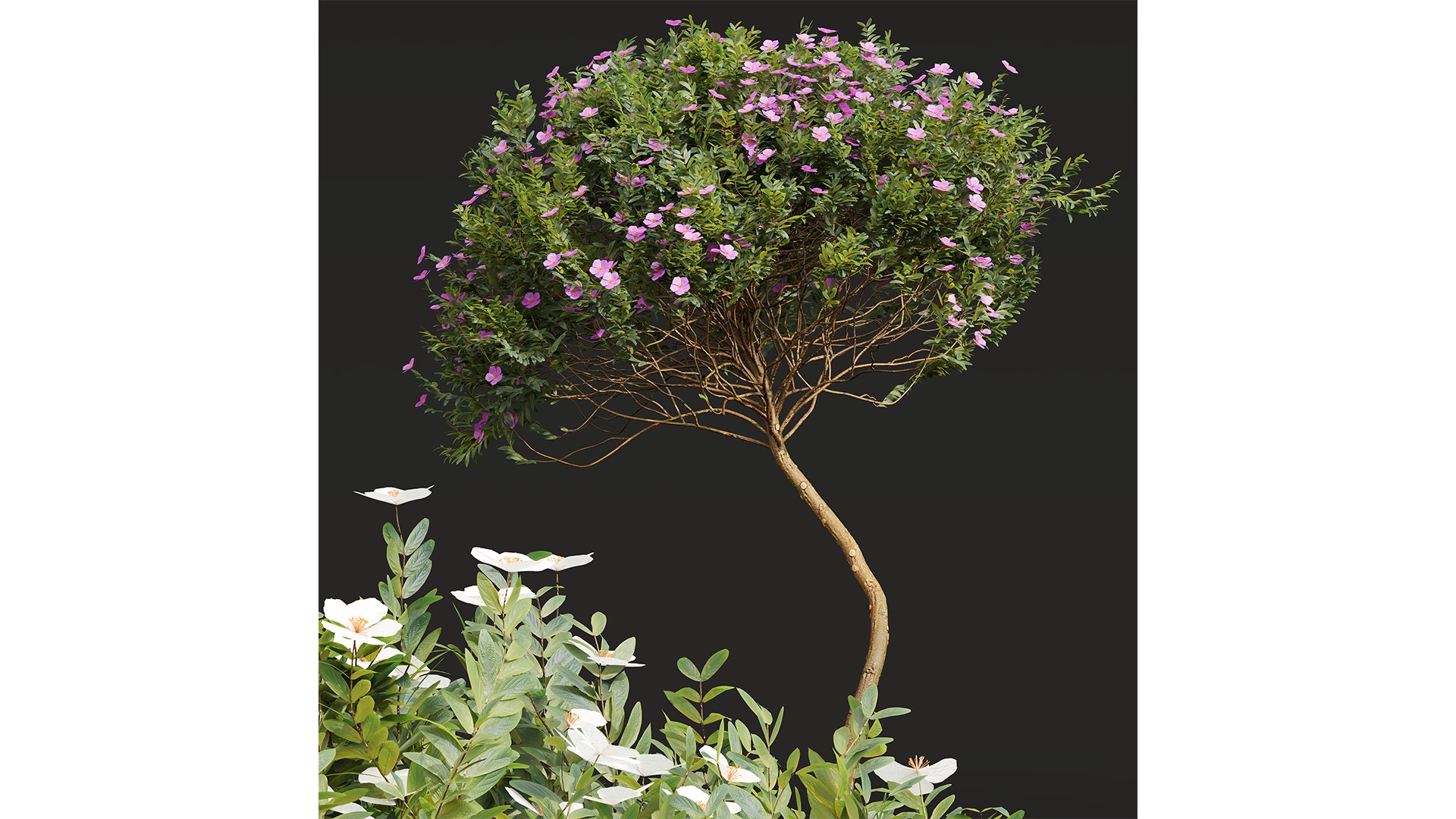 3D 6 Different SETS Of Bush Set Vol 21 Model - TurboSquid 2185823