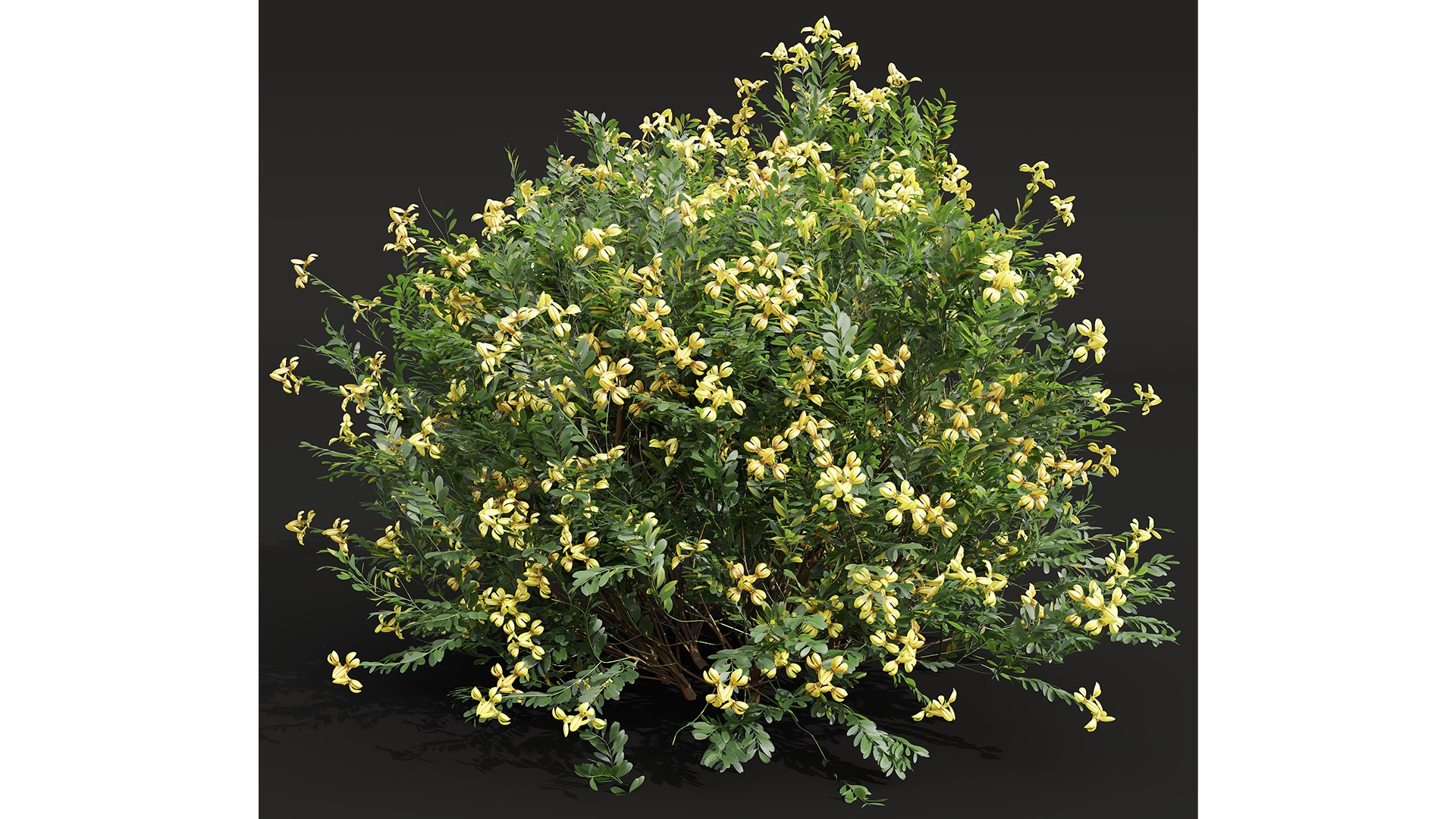 3D 6 Different SETS Of Bush Set Vol 21 Model - TurboSquid 2185823