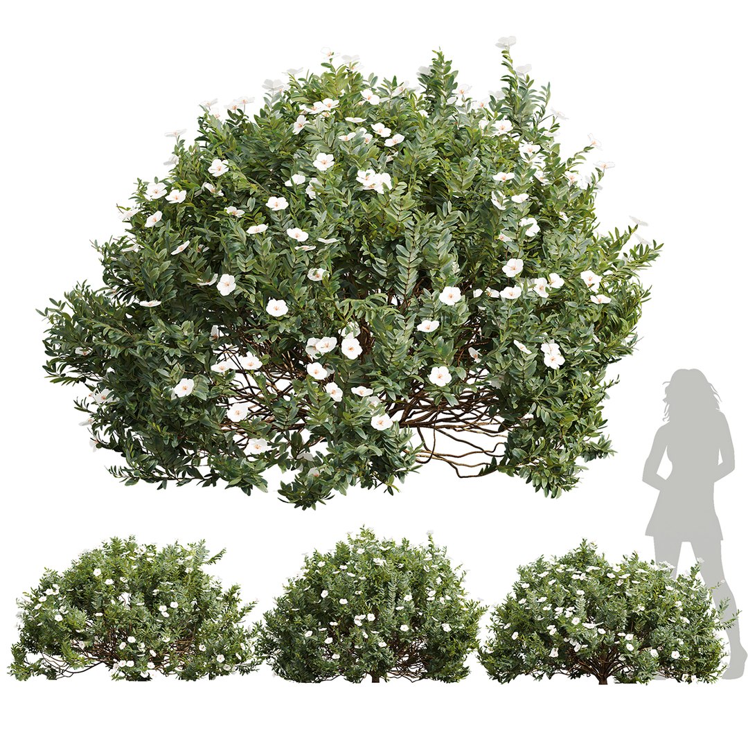 3D 6 Different SETS Of Bush Set Vol 21 Model - TurboSquid 2185823